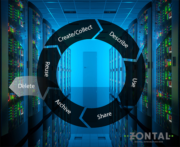The Information Life Cycle